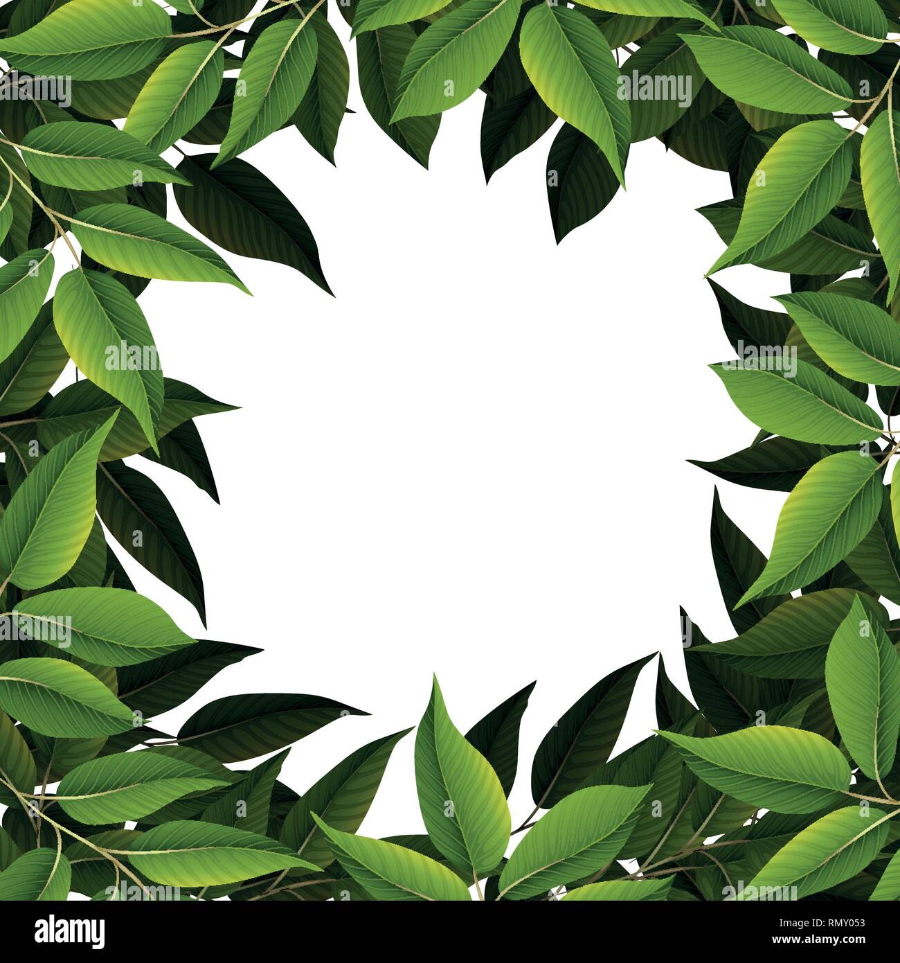 A nature leaf border illustration Stock Vector Image & Art - Alamy
