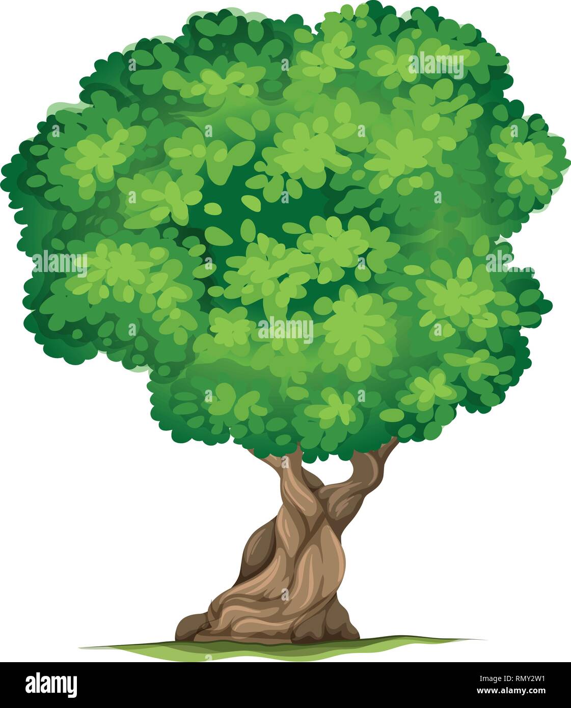 An isolated tree on white background illustration Stock Vector Image ...