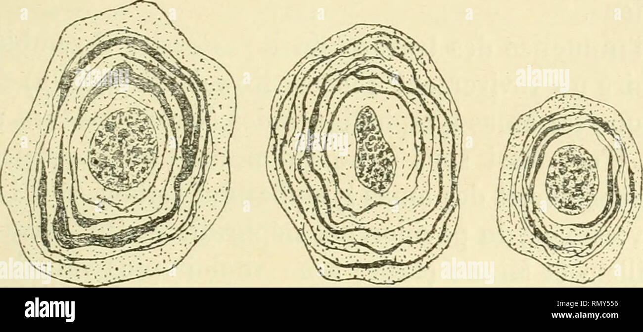 Les vraies couleurs hi-res stock photography and images - Alamy