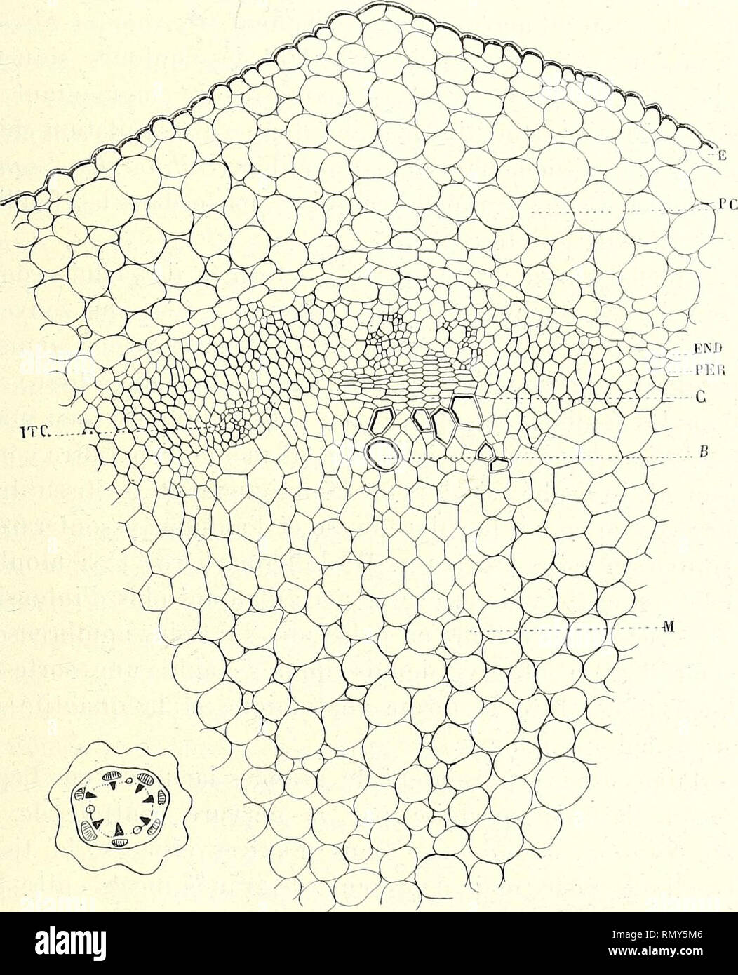 Le gouffre de padirac hi-res stock photography and images - Alamy