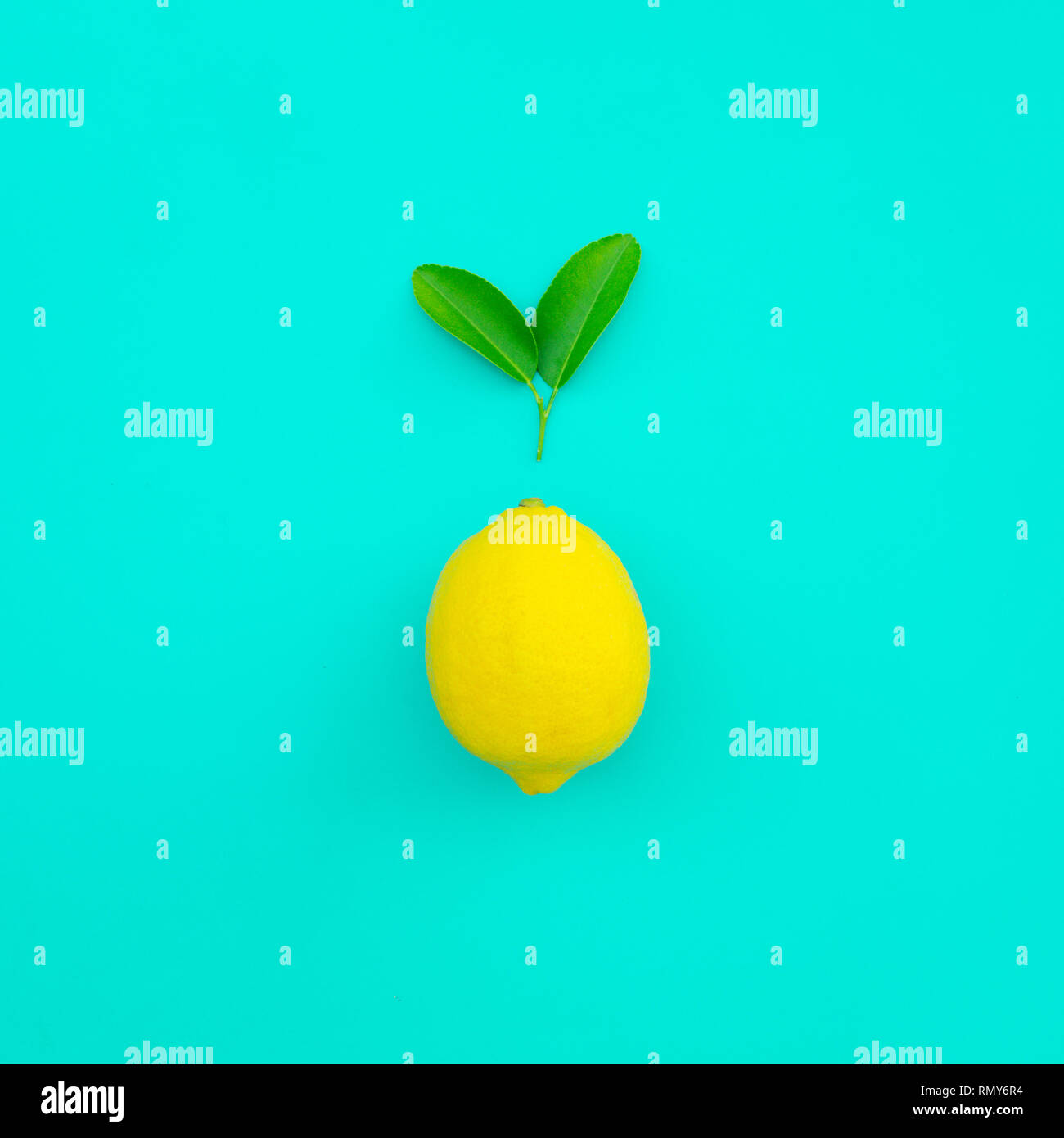Top view of lemon and leaves on blue color background.concepts ideas of ...