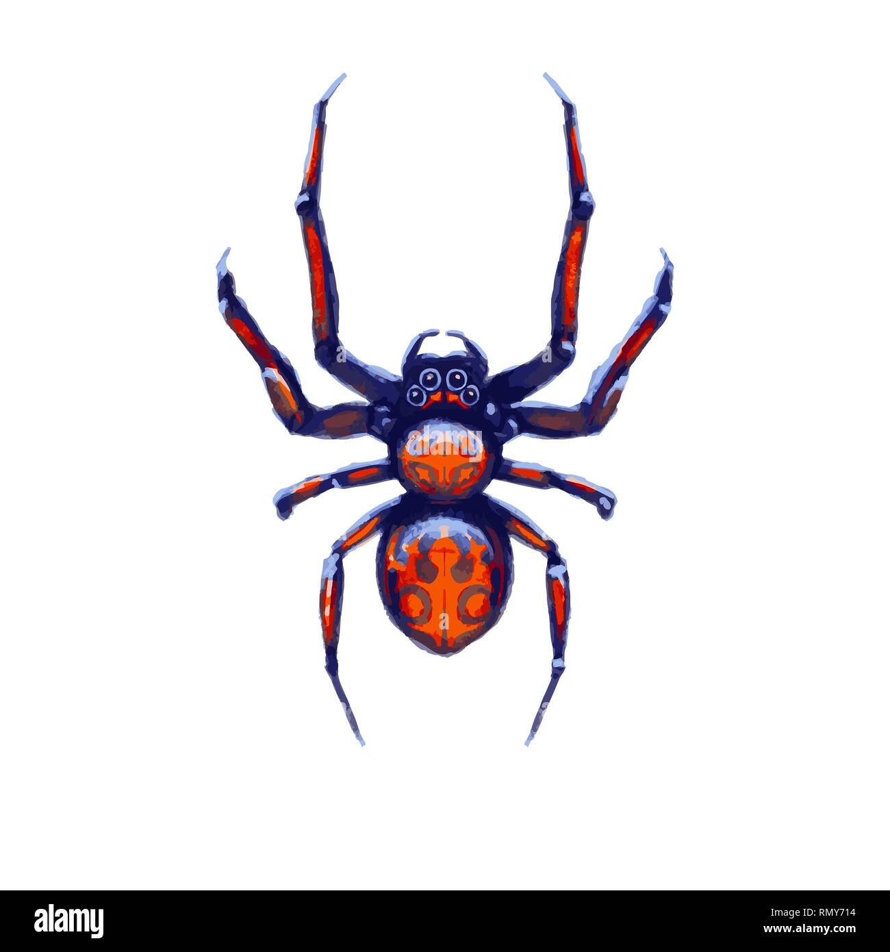 Black widow spider on red hi-res stock photography and images - Alamy