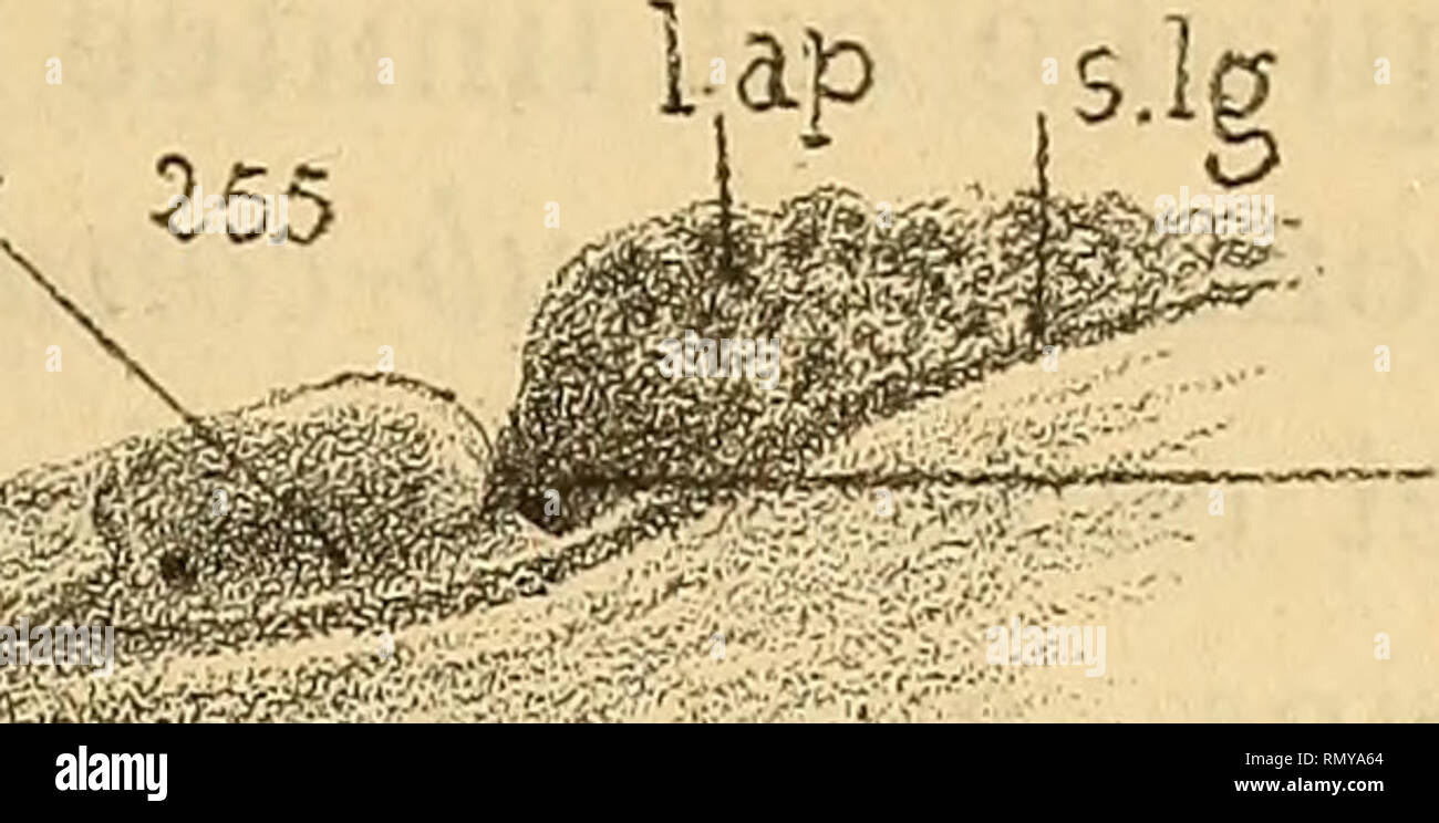 Pointe du doigt hi-res stock photography and images - Alamy