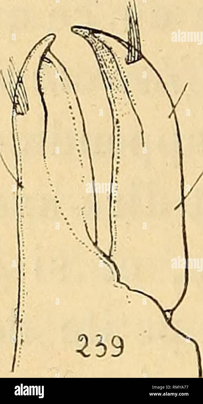 Henri coutiere hi-res stock photography and images - Alamy