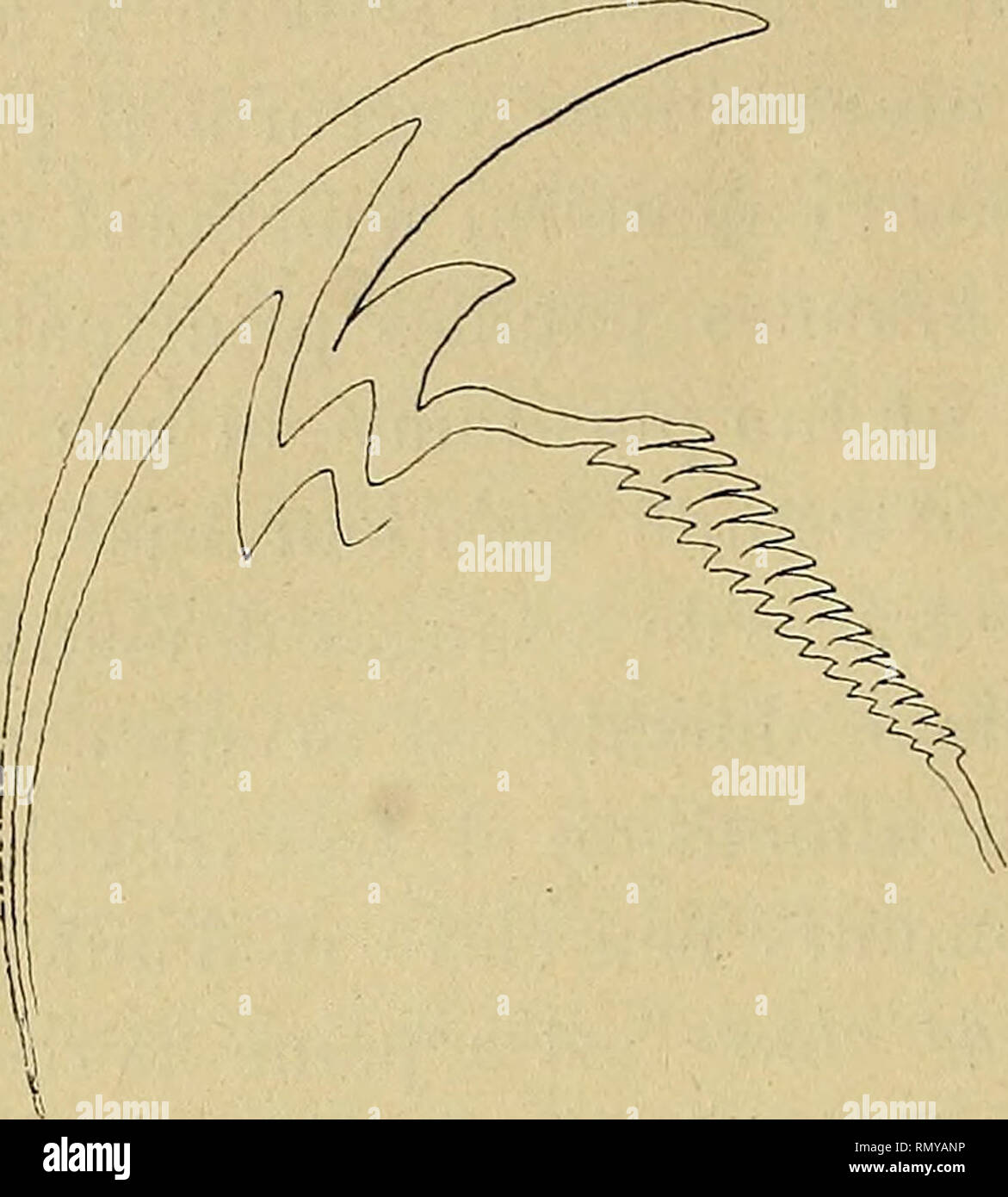 Intercalaire hi-res stock photography and images - Alamy