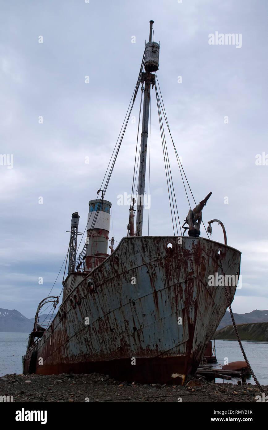 South Georgia Island, beached abandoned whaling boat with harpoon gun ...