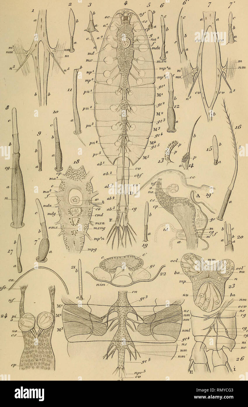 Jean alphonse richard hi-res stock photography and images - Alamy