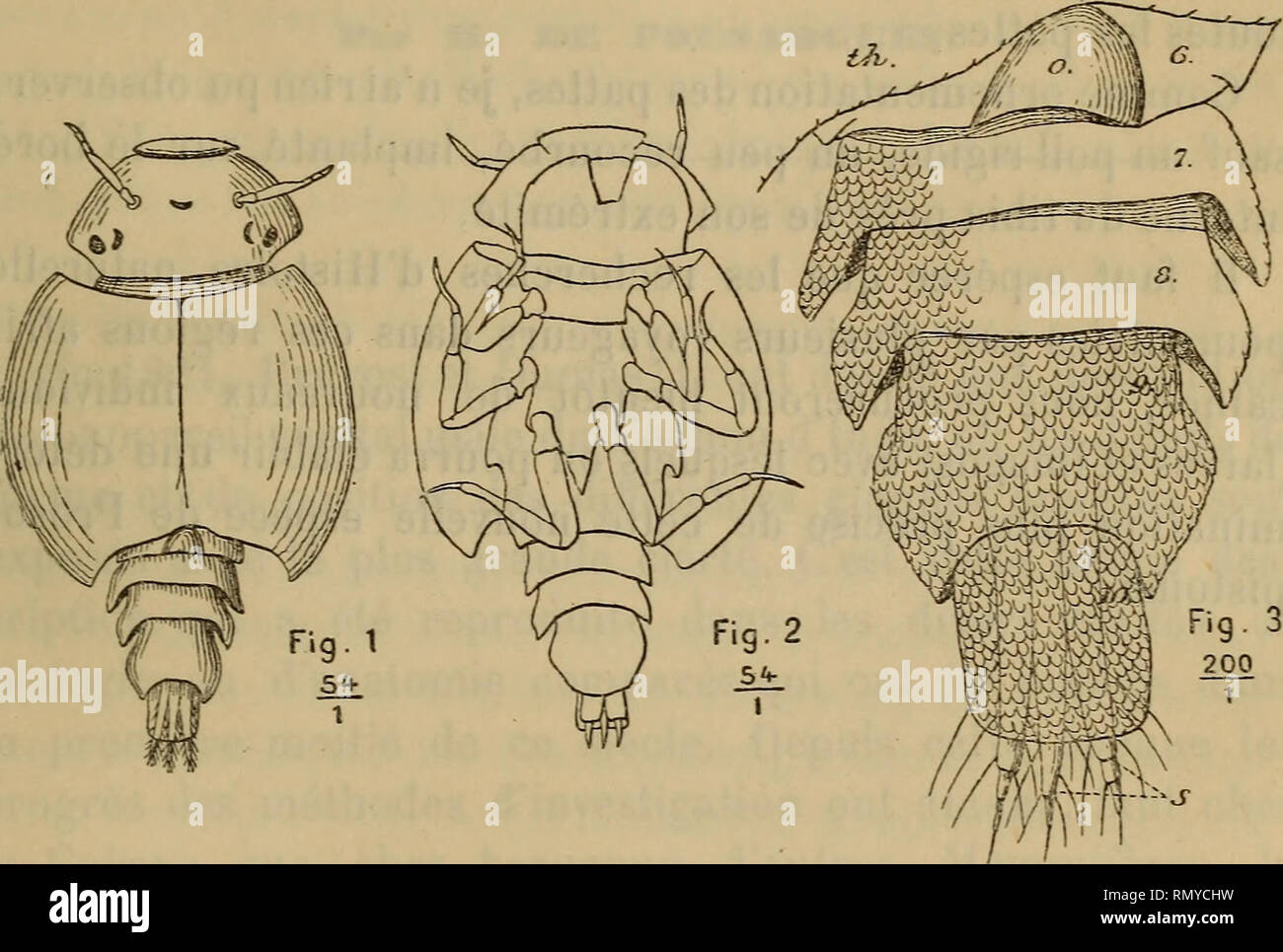 Faire des croquis hi-res stock photography and images - Alamy