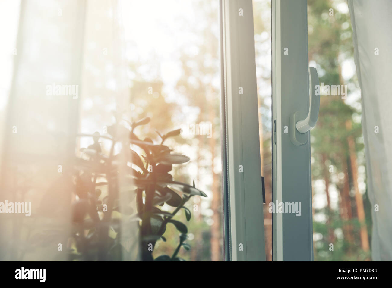 opened white plastic pvc window with forest background Stock Photo - Alamy