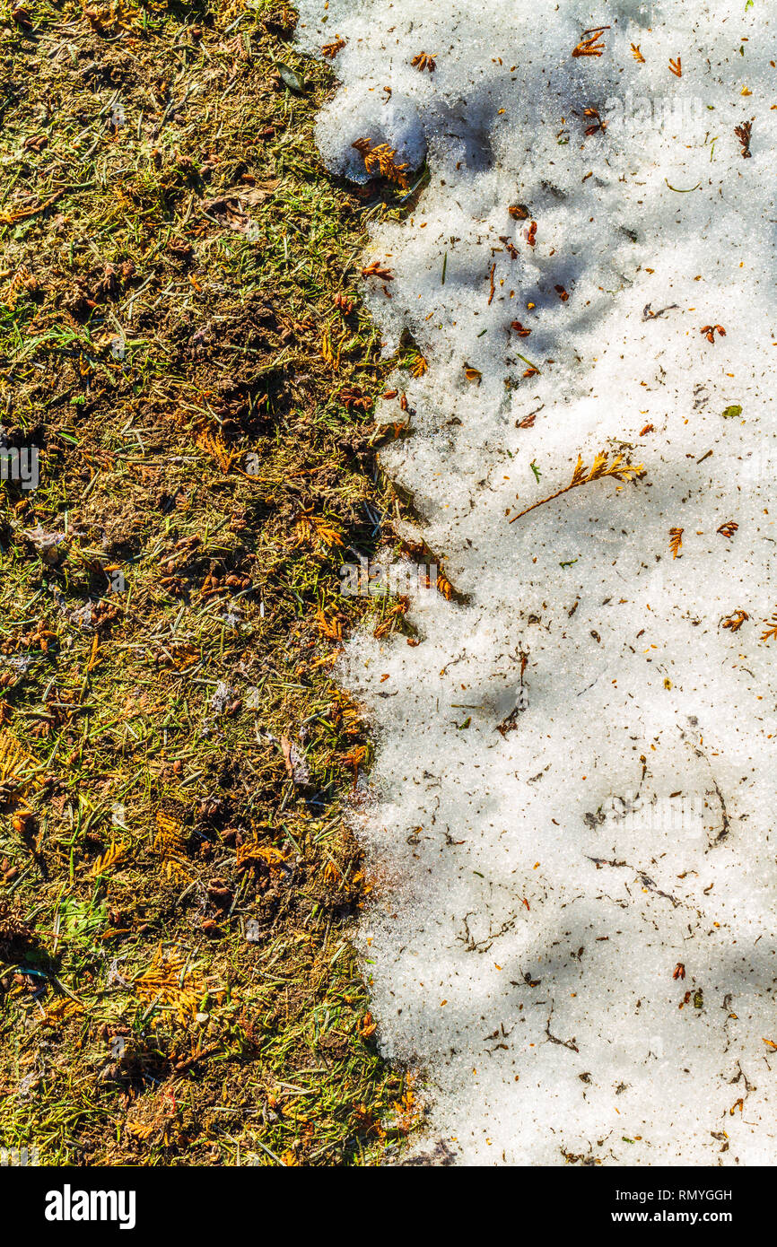 Melting snow grass hi-res stock photography and images - Alamy