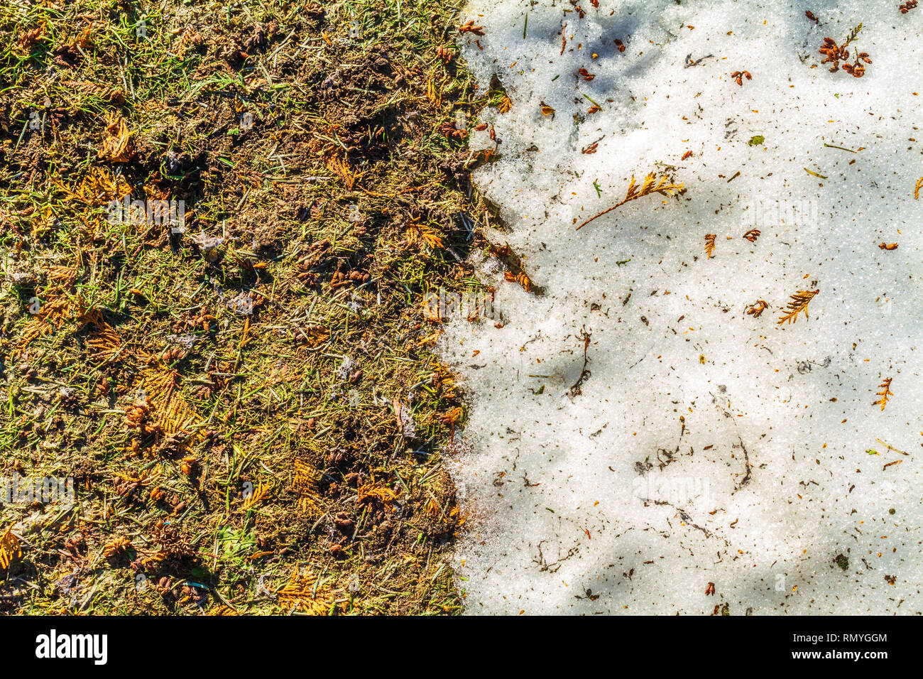 Grass and snow border straight line in spring Stock Photo - Alamy