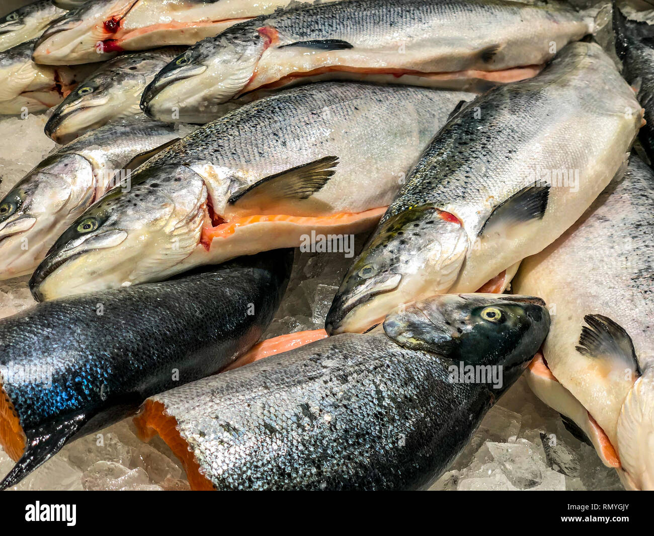 Healthy organic raw Atlantic salmon fish in ice Stock Photo - Alamy