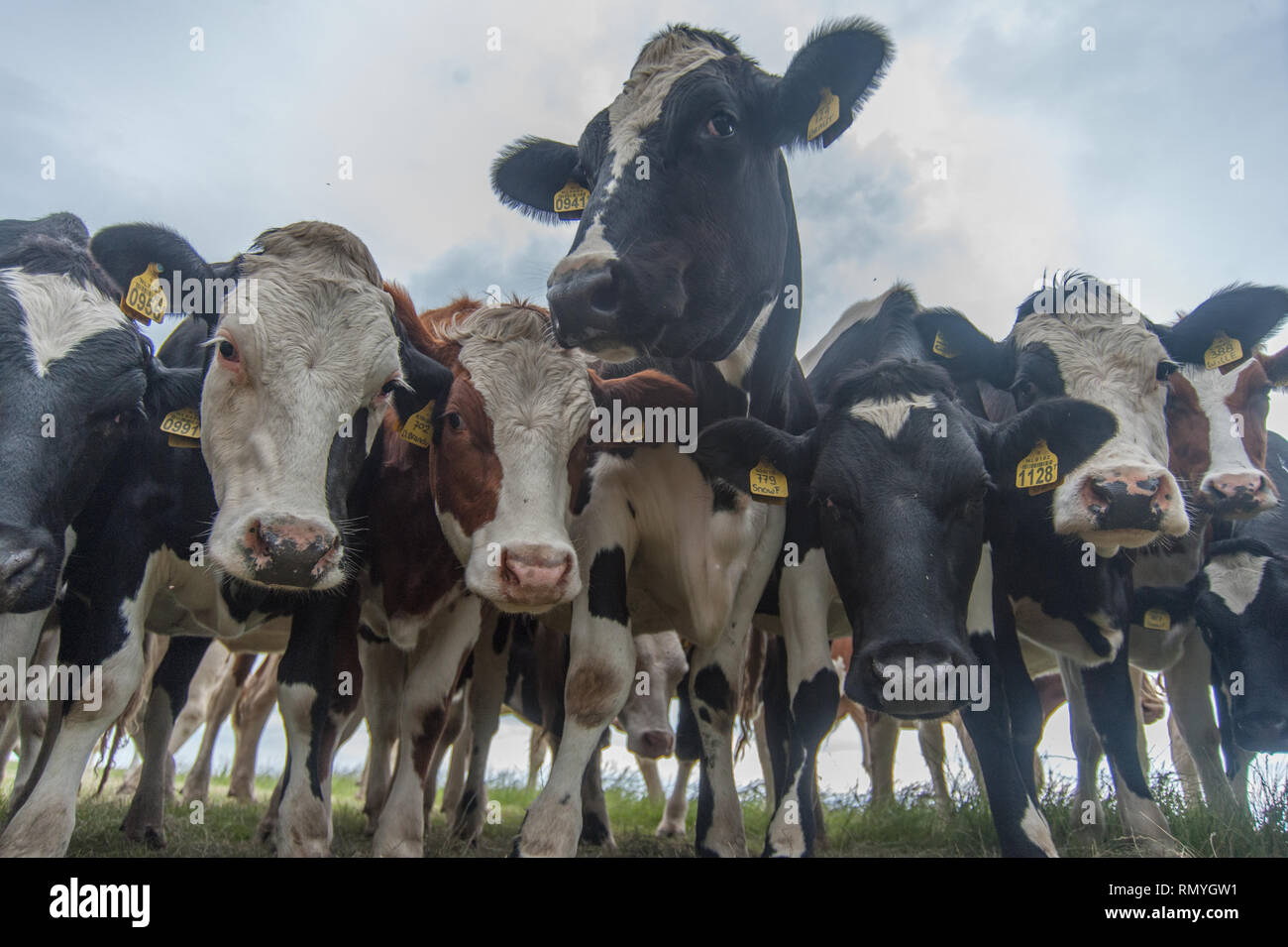 Extremely curious hi-res stock photography and images - Alamy