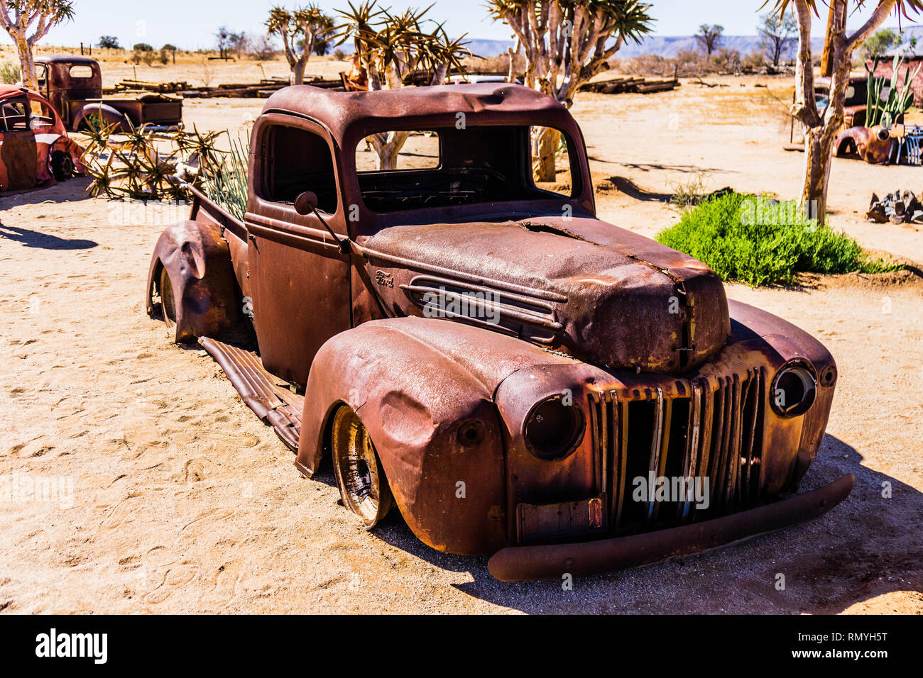 Namibian beetle hi-res stock photography and images - Alamy