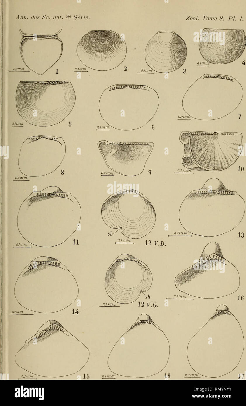 Jean alphonse richard hi-res stock photography and images - Alamy