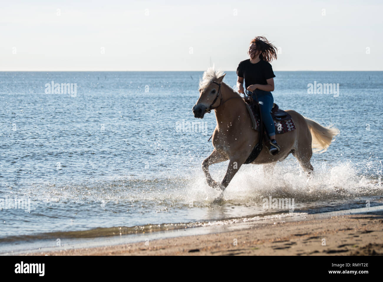 Fast horse riding hi-res stock photography and images - Alamy