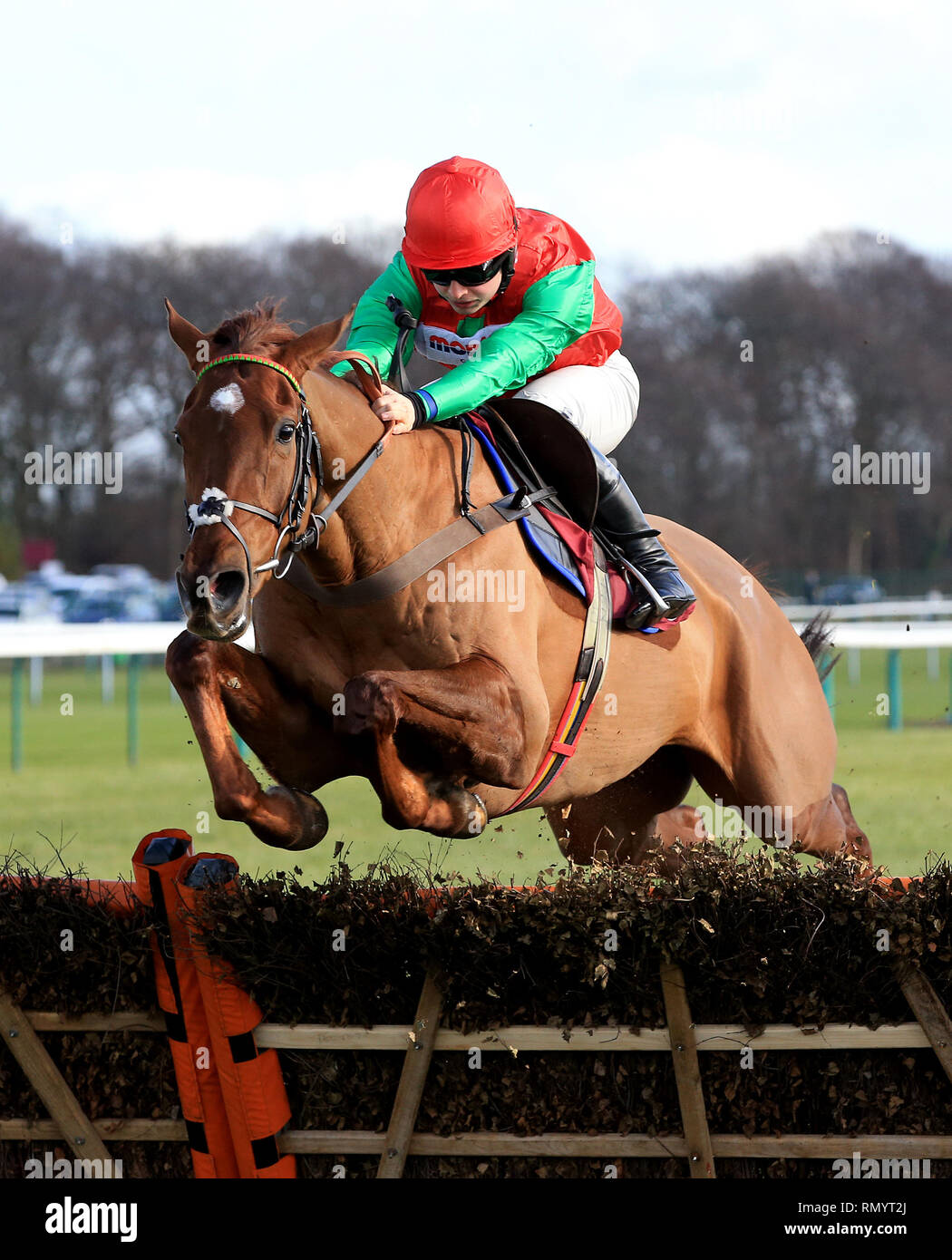 Victor ludorum horse hi-res stock photography and images - Alamy