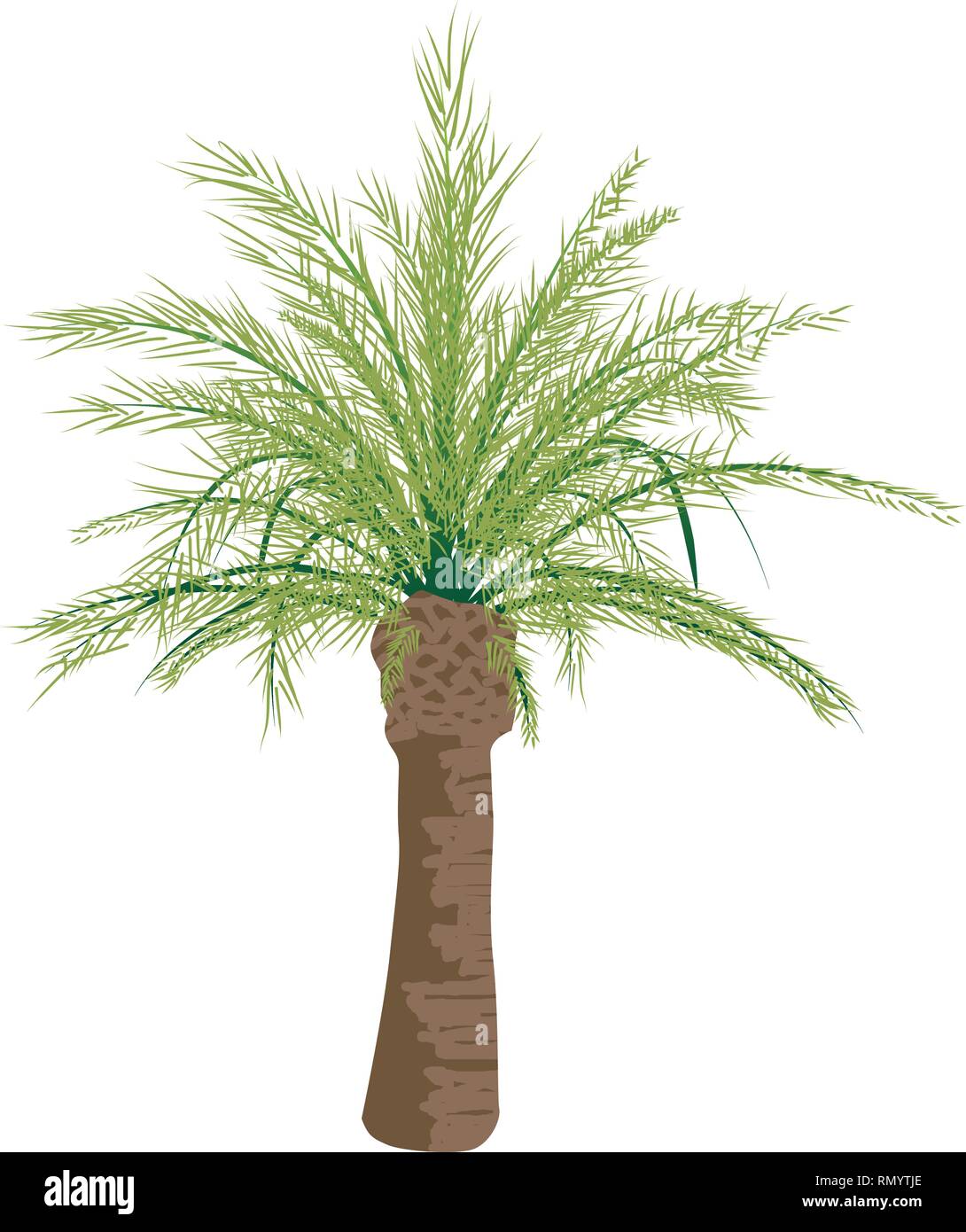 Palm tree isolated on white background, vector template Stock Vector ...