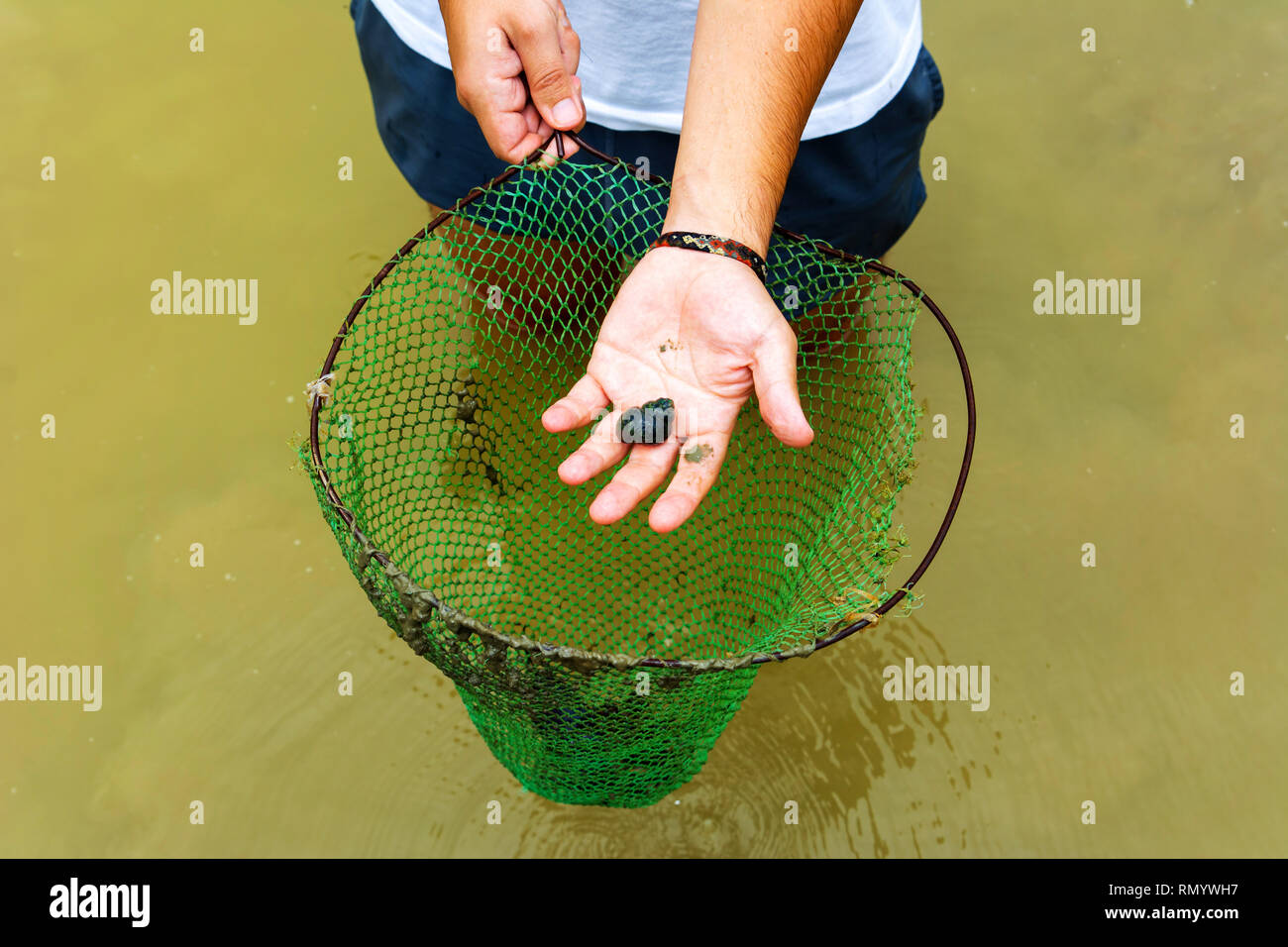 Hand holding snails hi-res stock photography and images - Alamy