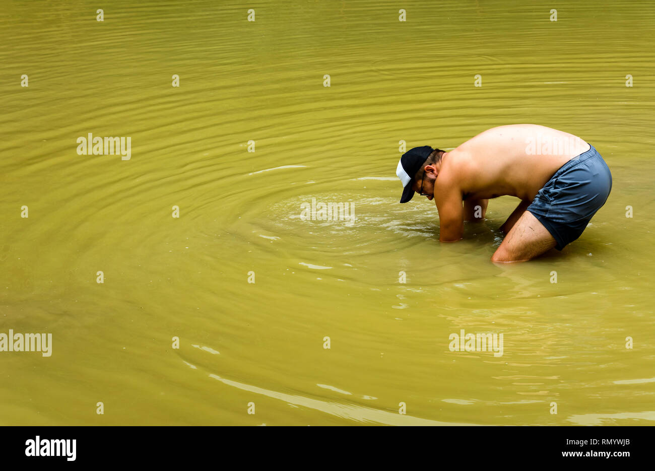 Pond snails hi-res stock photography and images - Alamy