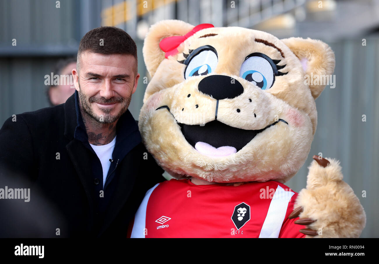 Football team mascot hi-res stock photography and images - Alamy