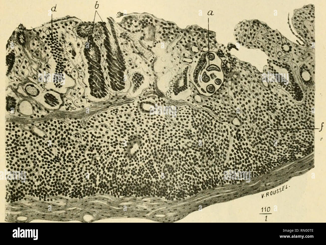 . Annales de l'Institut Pasteur. Science; Allergy and Immunology ...