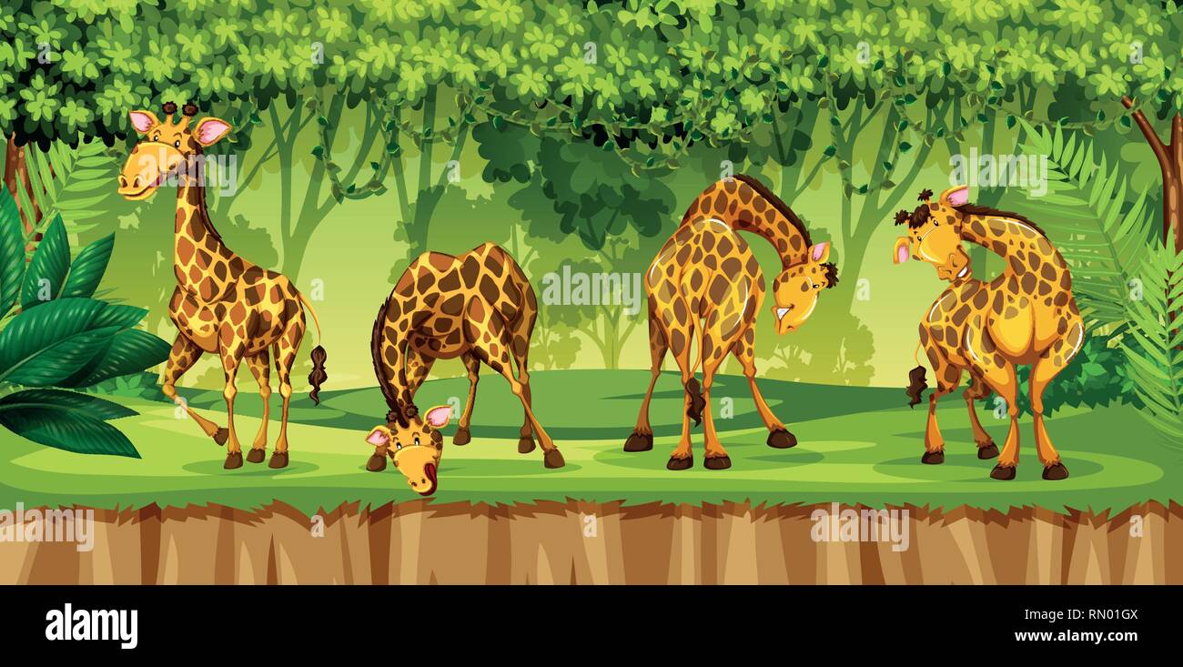 Giraffe in the jungle illustration Stock Vector Image & Art - Alamy