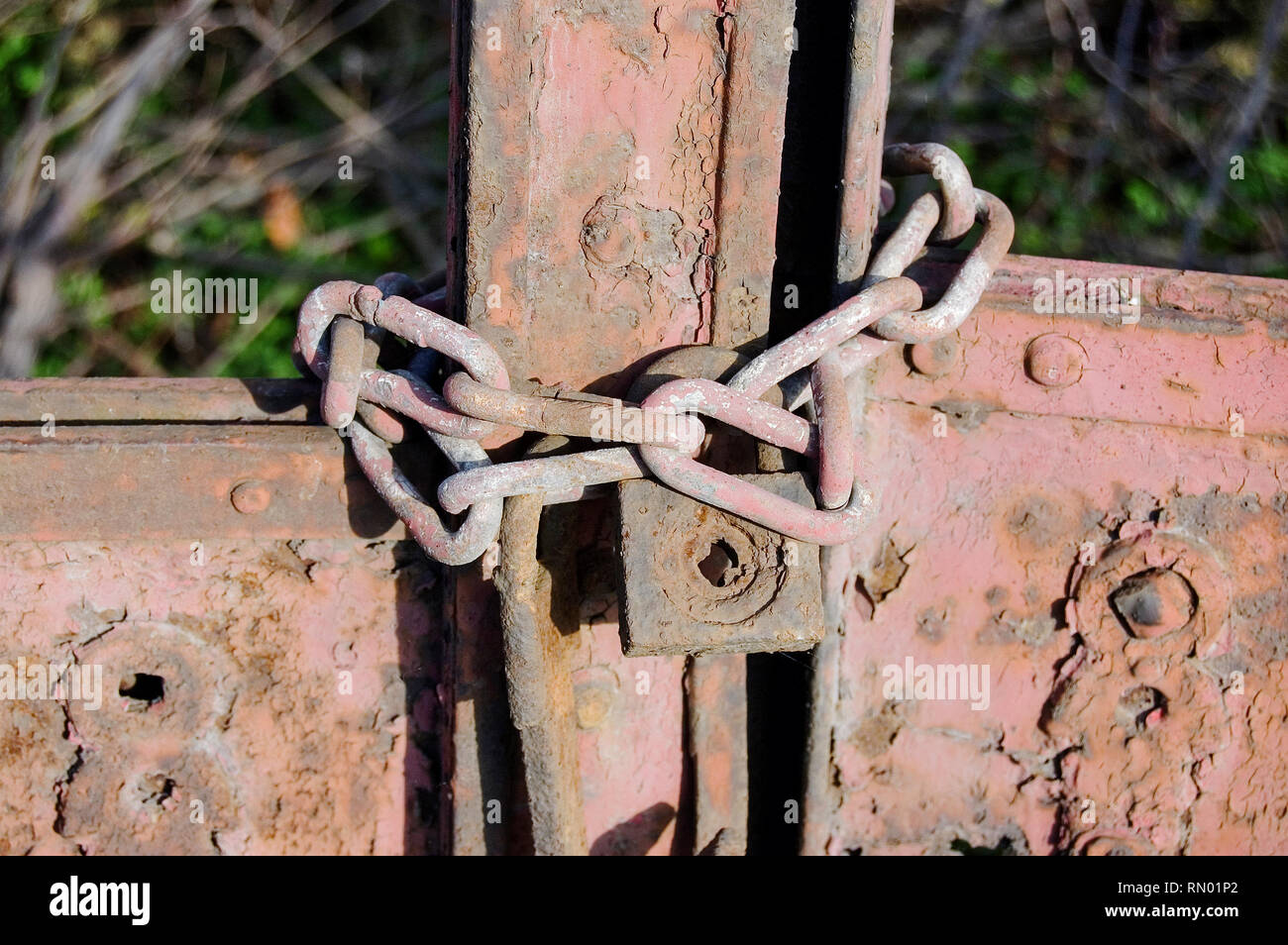 Chain wrapped around metal garden gates Stock Photo - Alamy
