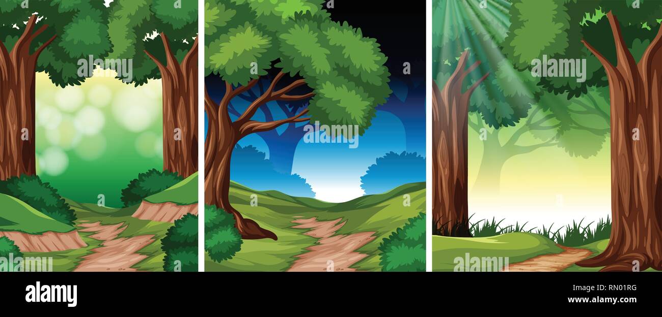 Set of tropical rainforest background illustration Stock Vector Image ...