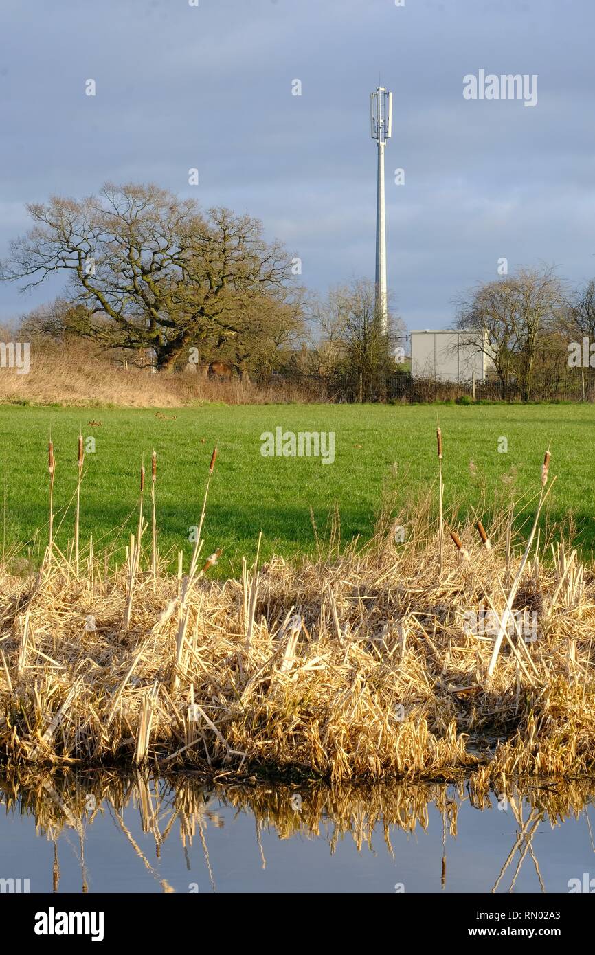 Mobile Phone Mast, Cellular Phone Mast, Rural Setting, Cheshire ...