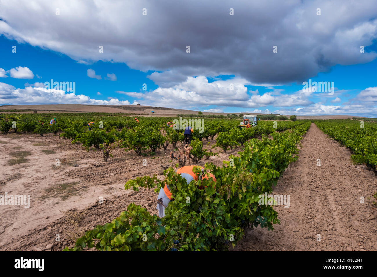 Spain harvest farm hi-res stock photography and images - Alamy