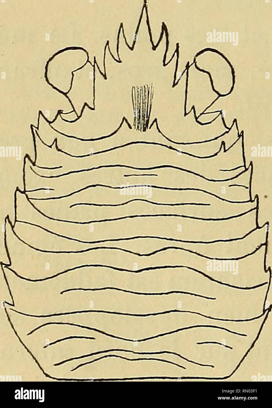 Pointe du doigt hi-res stock photography and images - Alamy