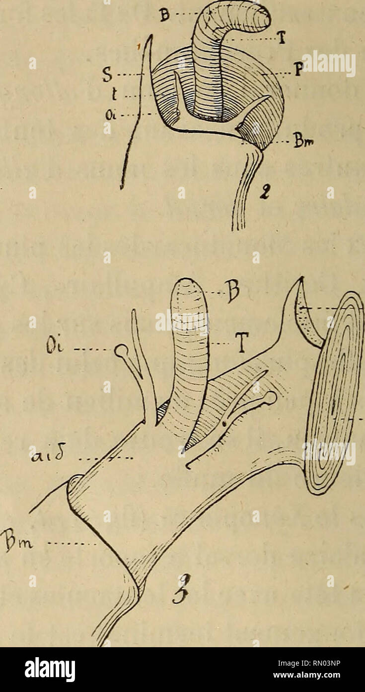 Intercalaire hi-res stock photography and images - Alamy