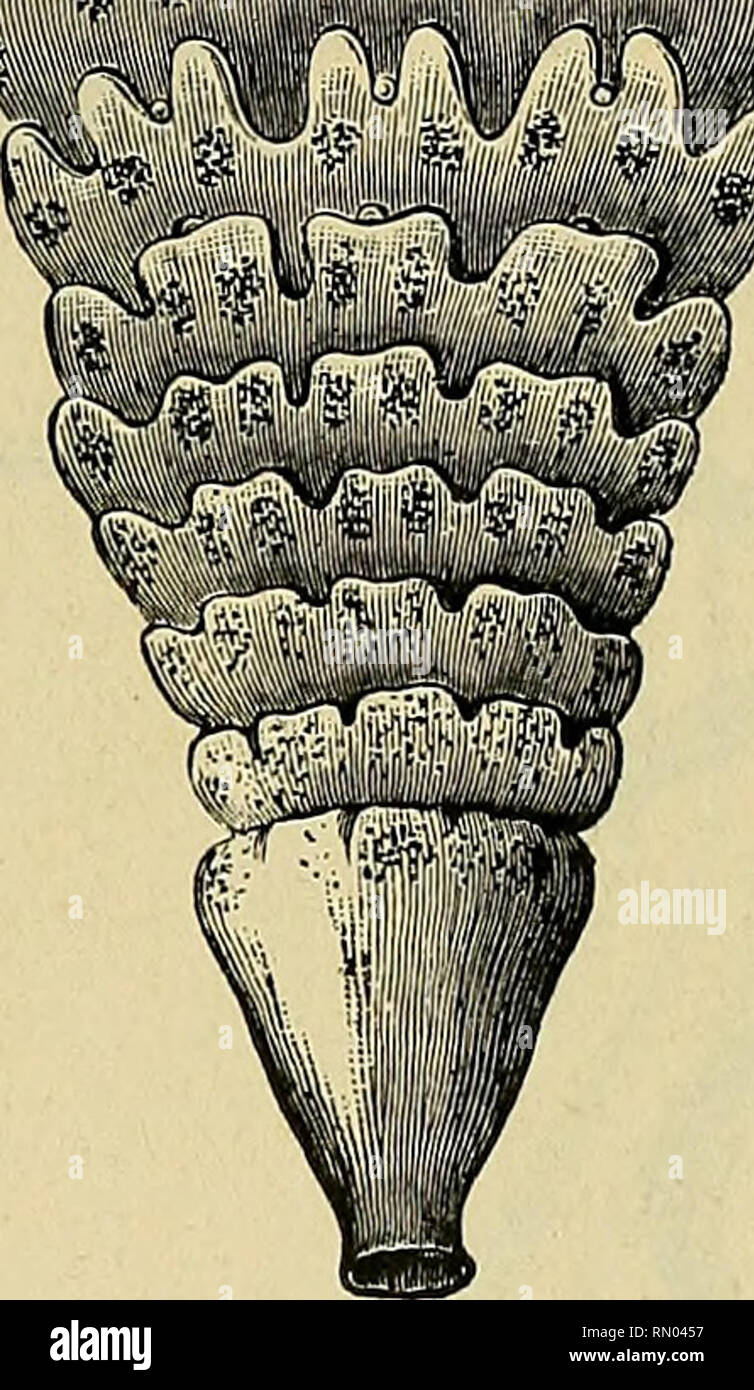 Classe rules hi-res stock photography and images - Alamy