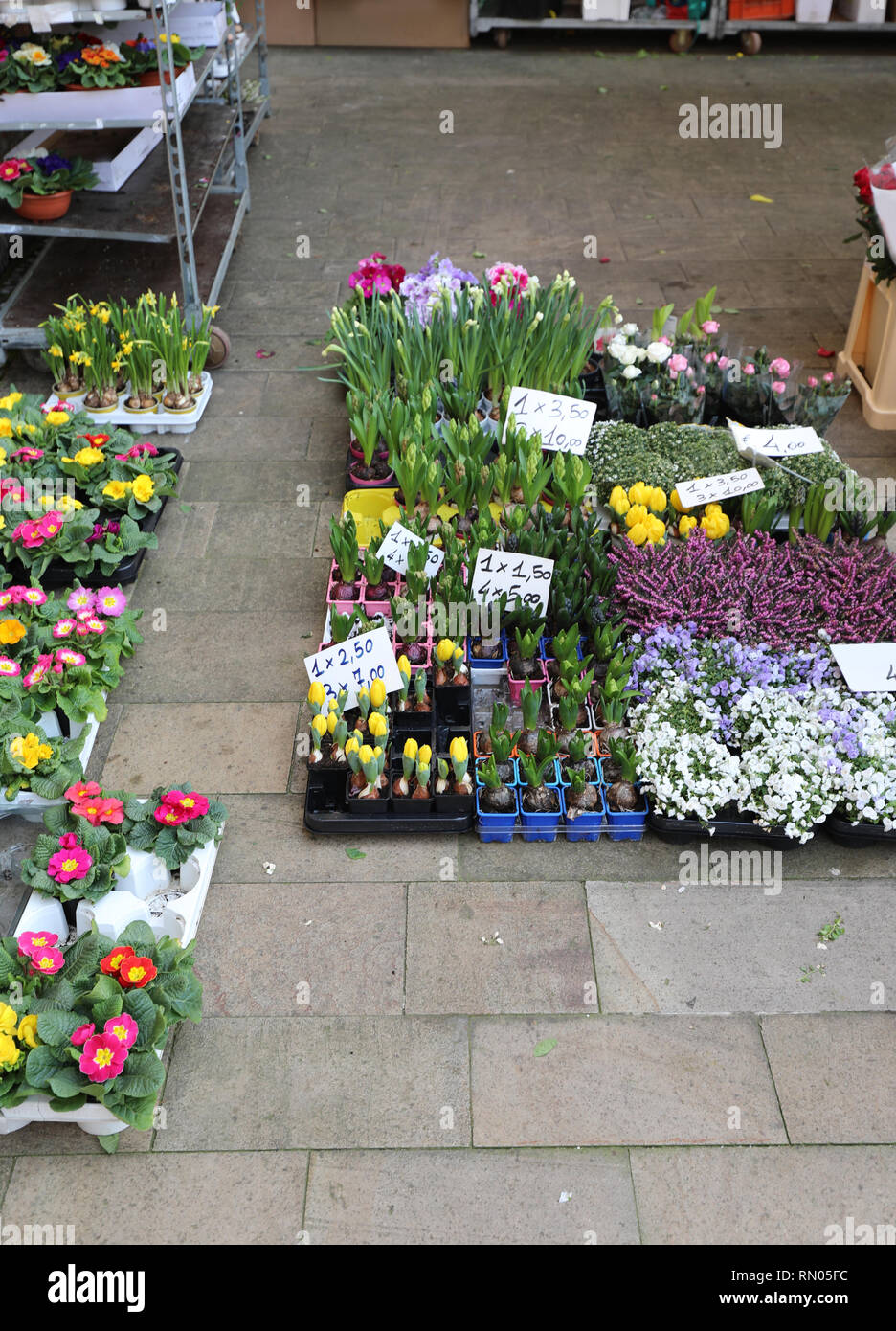 street stall with potted flowers and the price Stock Photo - Alamy