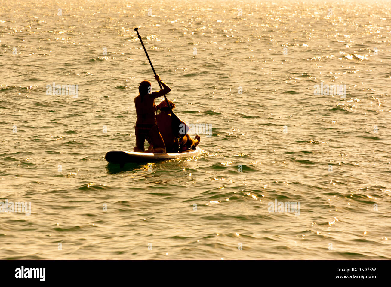 Teen rowing boat hi-res stock photography and images - Alamy
