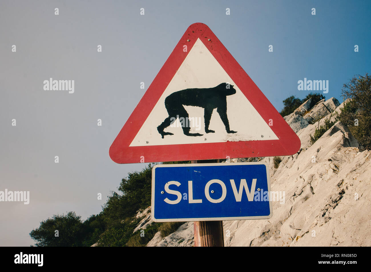 Monkey park sign hi-res stock photography and images - Alamy