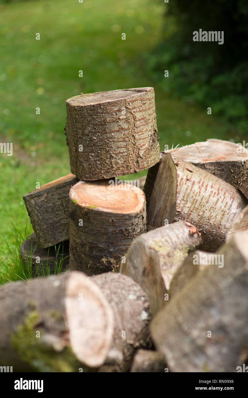 Pile of cherry logs in a garden Stock Photo - Alamy