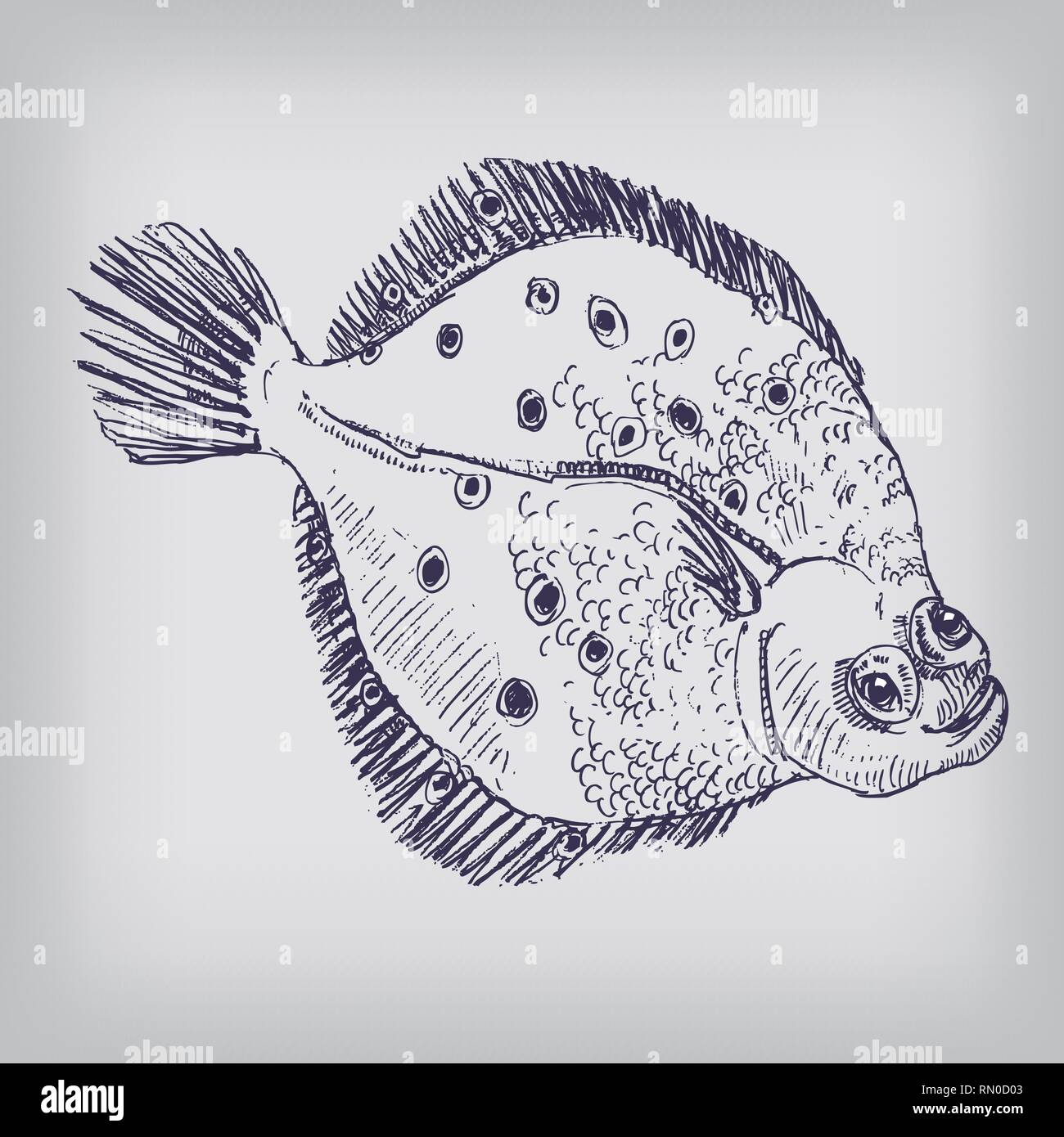 The fish flounder in the sea Stock Vector Image & Art - Alamy