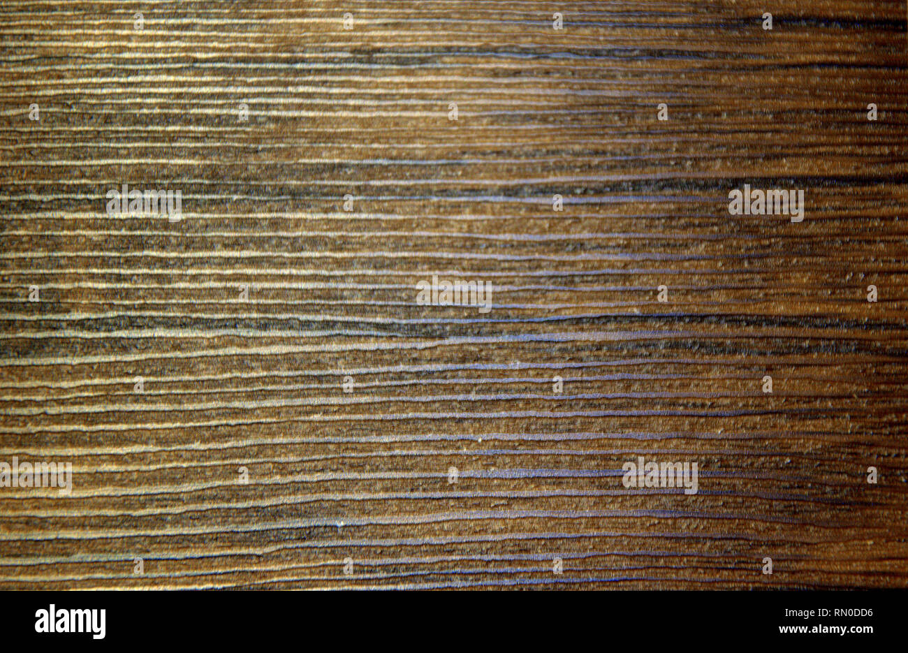 Dark natural wood. Texture, background, natural pattern Close up shot ...