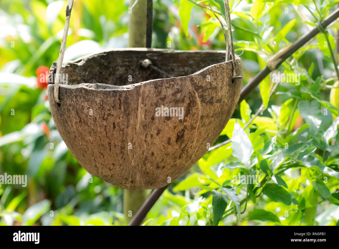 Hanging coconut bowls hi-res stock photography and images - Alamy