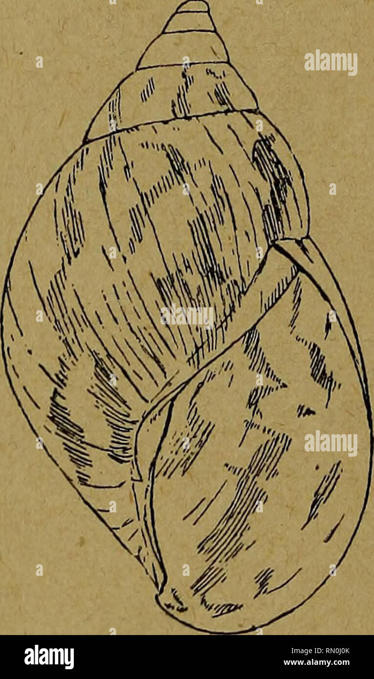 Linea 18 19 hi-res stock photography and images - Alamy