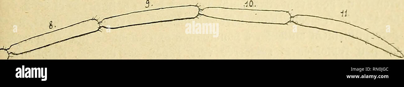 Poste de pes hi-res stock photography and images - Alamy