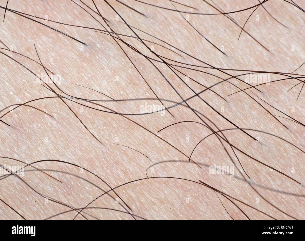 Hairy body surface hi-res stock photography and images - Alamy