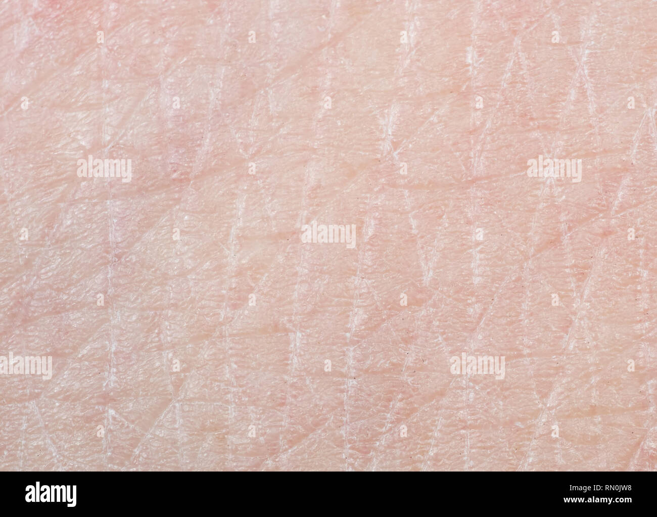 Macro Photography of Human Skin Texture for Background Stock Photo - Alamy