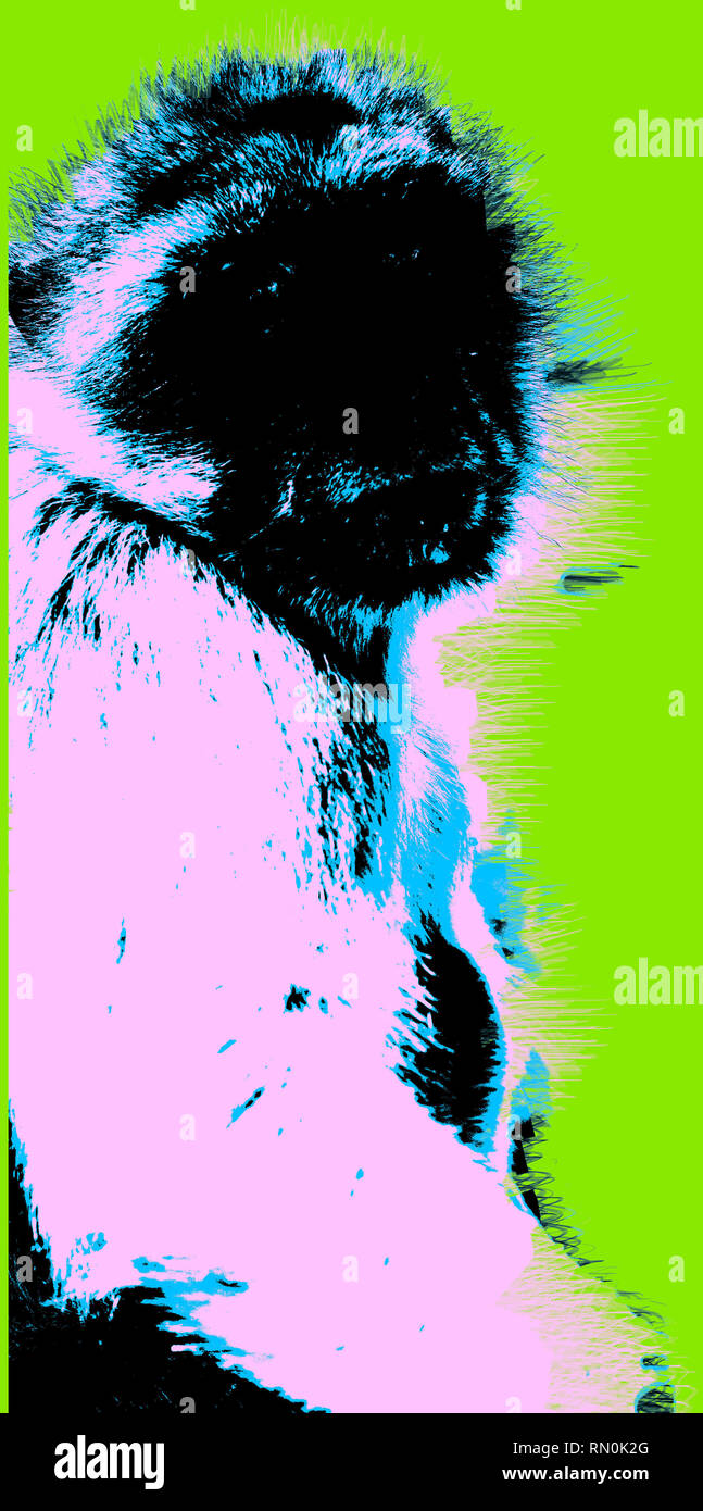 Sad cartoon monkey face hi-res stock photography and images - Alamy