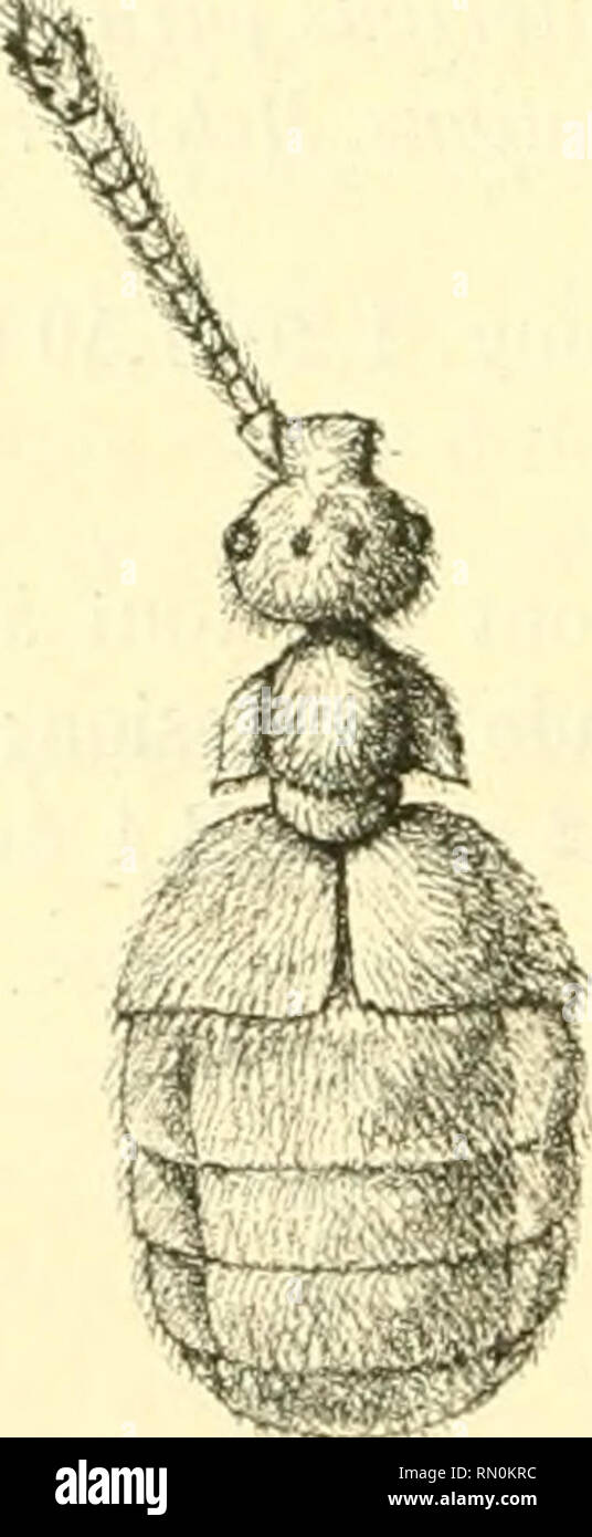 Obsoleto hi-res stock photography and images - Alamy