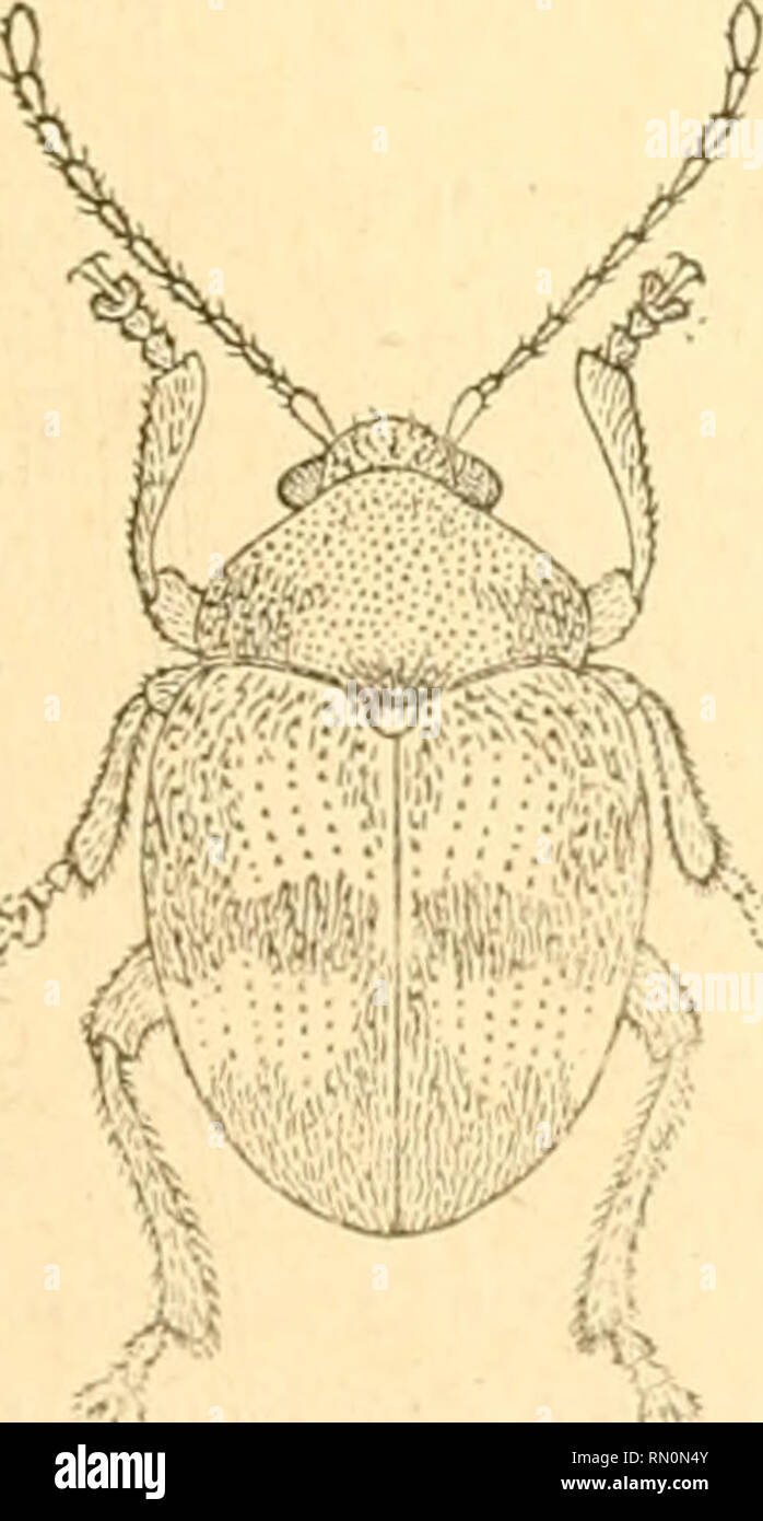 Taches de fond hi-res stock photography and images - Alamy