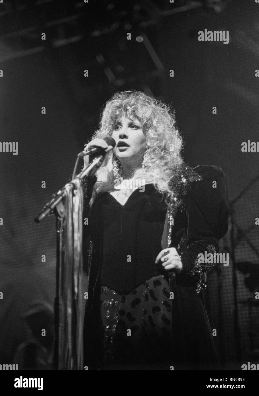 Stevie Nicks On Stage