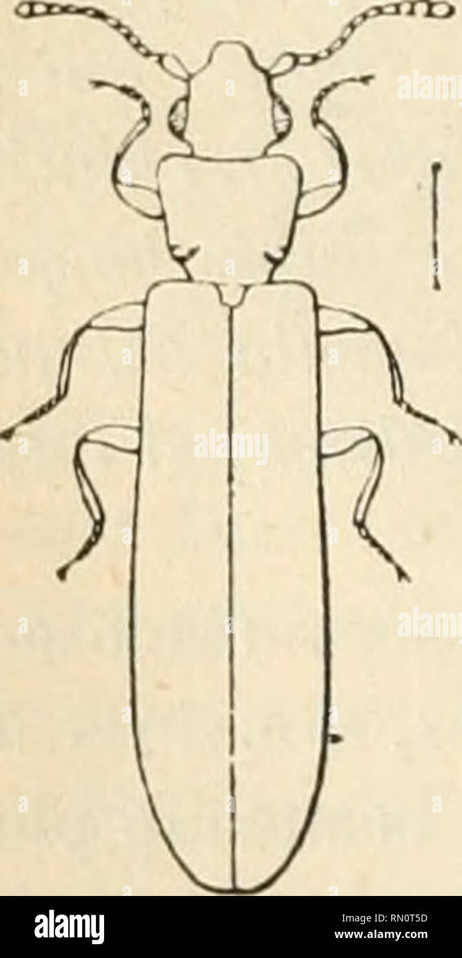 Lignes de base hi-res stock photography and images - Alamy